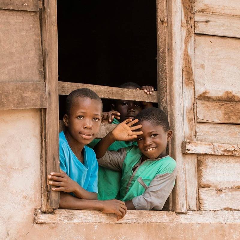 Portfolios – BTG TRUST